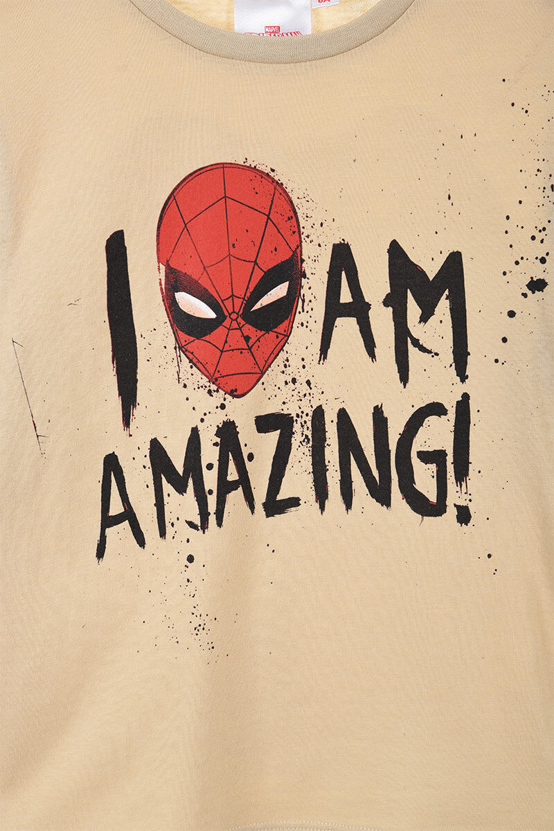 Kjøp Marvel Spider-Man Genser, Beige