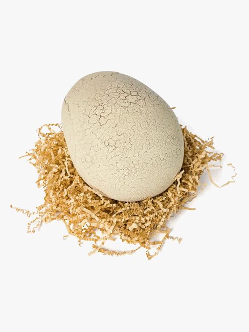 Kjøp Spin Master Primal Hatch Interaktiv Hatching Dinosaur